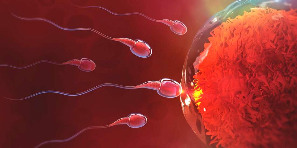 Fertility Clinic in Kenya | IVF, IUI, ICSI | Fertility Clinic in Nairobi